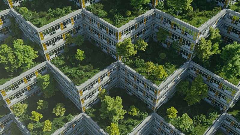 About Larson Maddox Group & Mission Larson Maddox